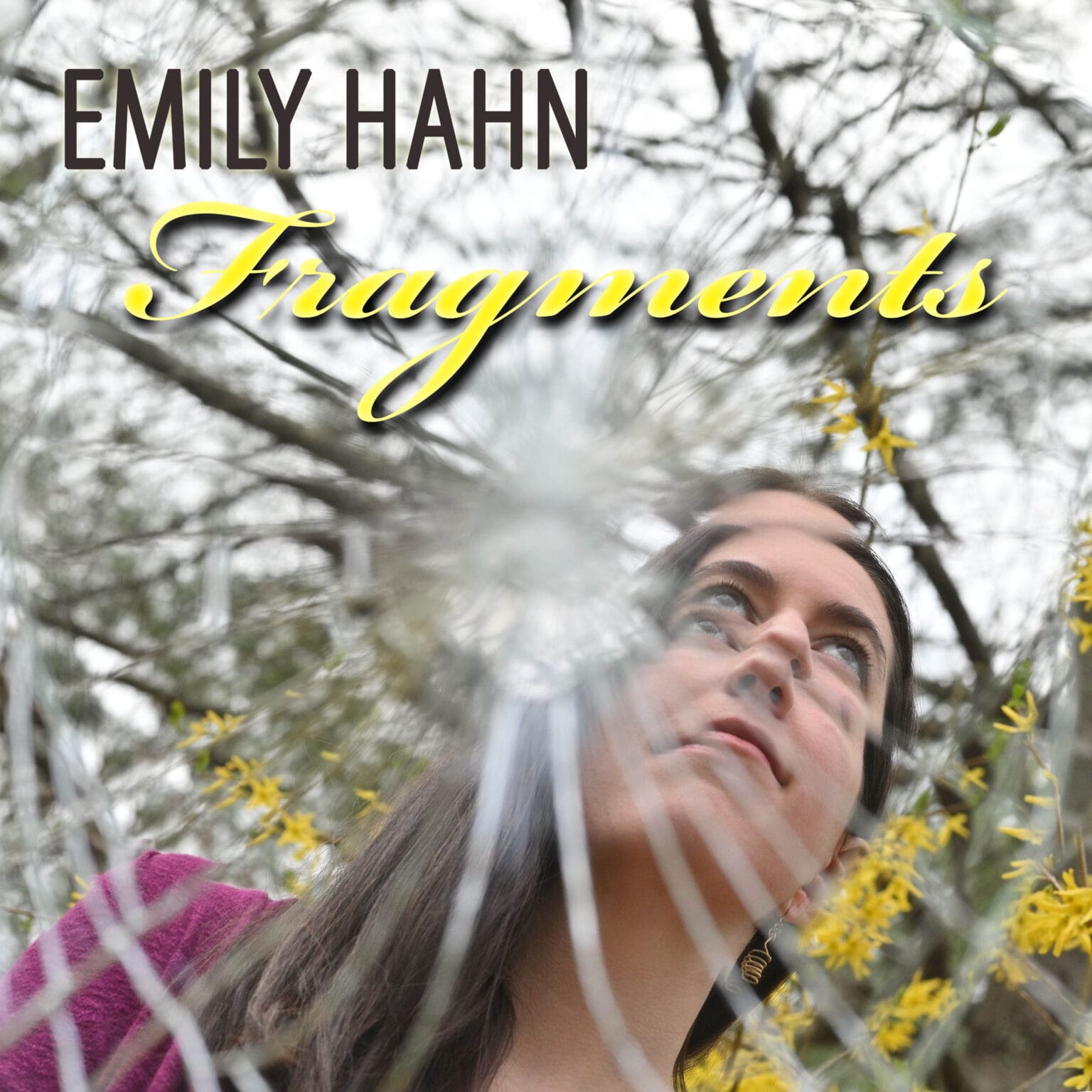 Albums – Emily Hahn